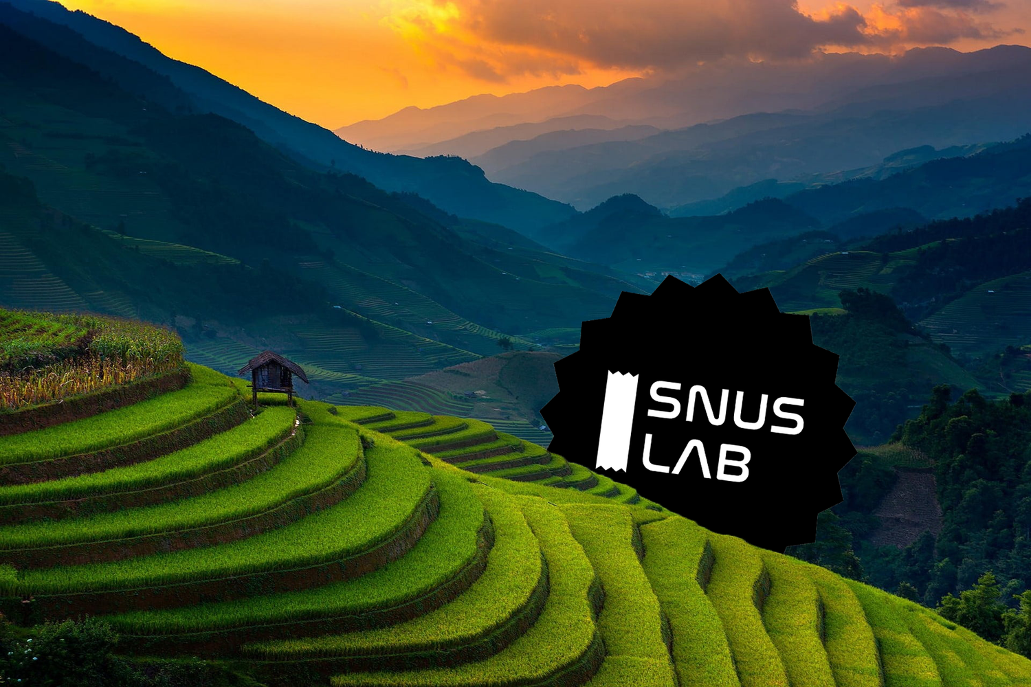 Snus Vietnam - Feeling Brave? Try High Strength Snus!